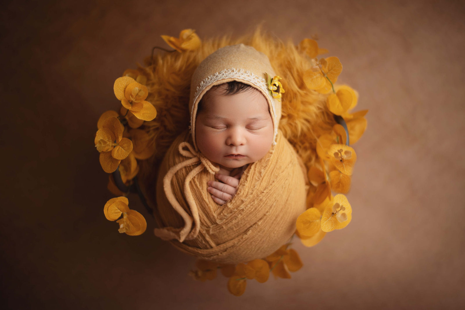 Trendy Newborn Photo Backdrops That Melt Your Heart